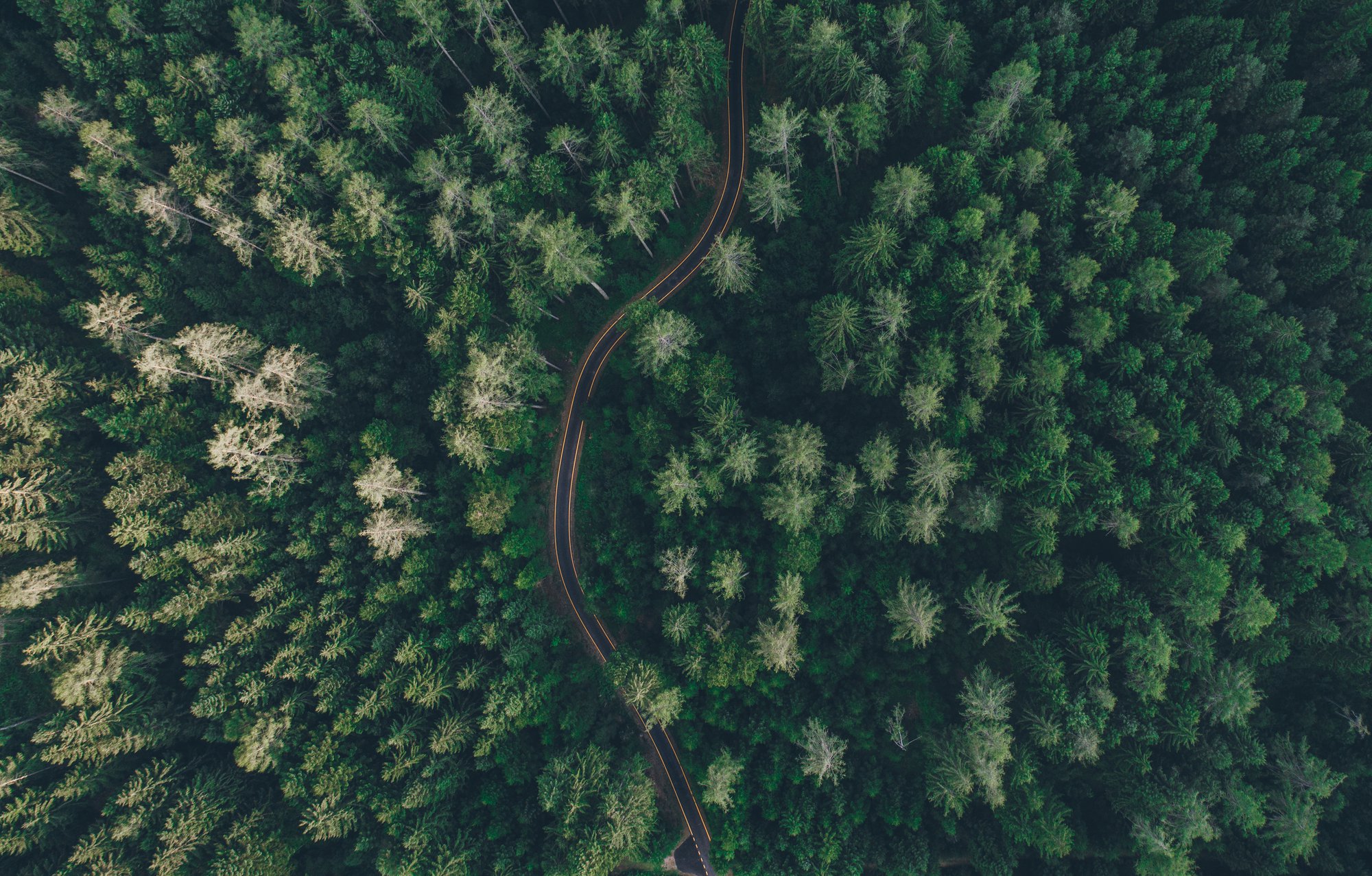 Journey of Images: The Process of Analyzing Aerial Data